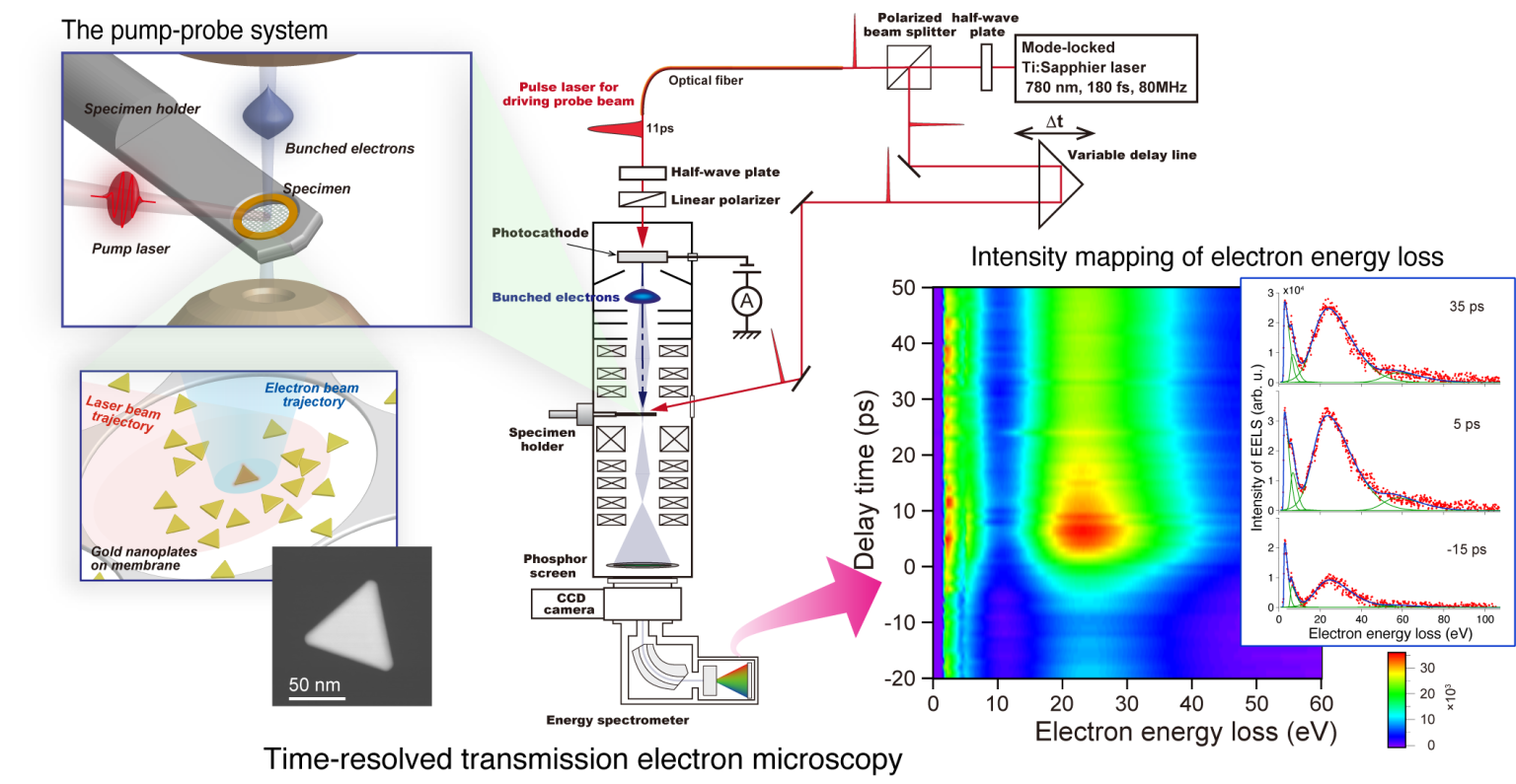 Scientists combine existing electron microscope technology to build new ...